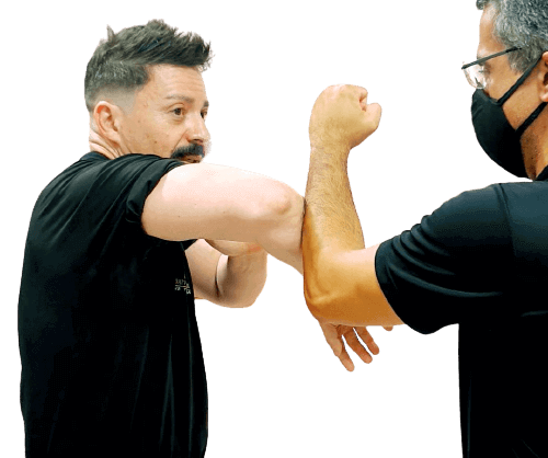 Curso de Wing Chun Online Nº1 em Aulas de Kung Fu